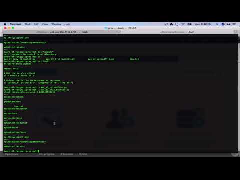 Amazon Web Services Python SDK & Boto 3