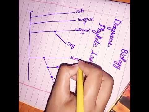 make a diagram phyletic lineageš#viral short