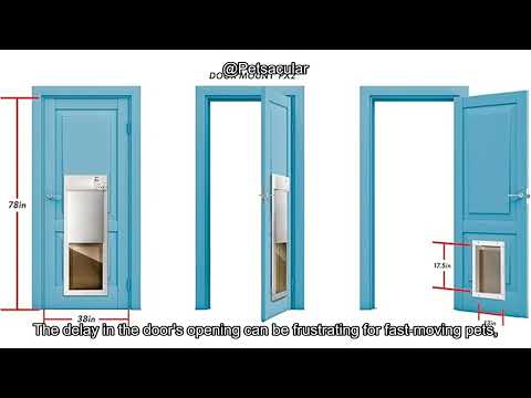 High Tech Pet Fully Automatic Pet Door Review: Is It Worth the Investment for Your Pet?