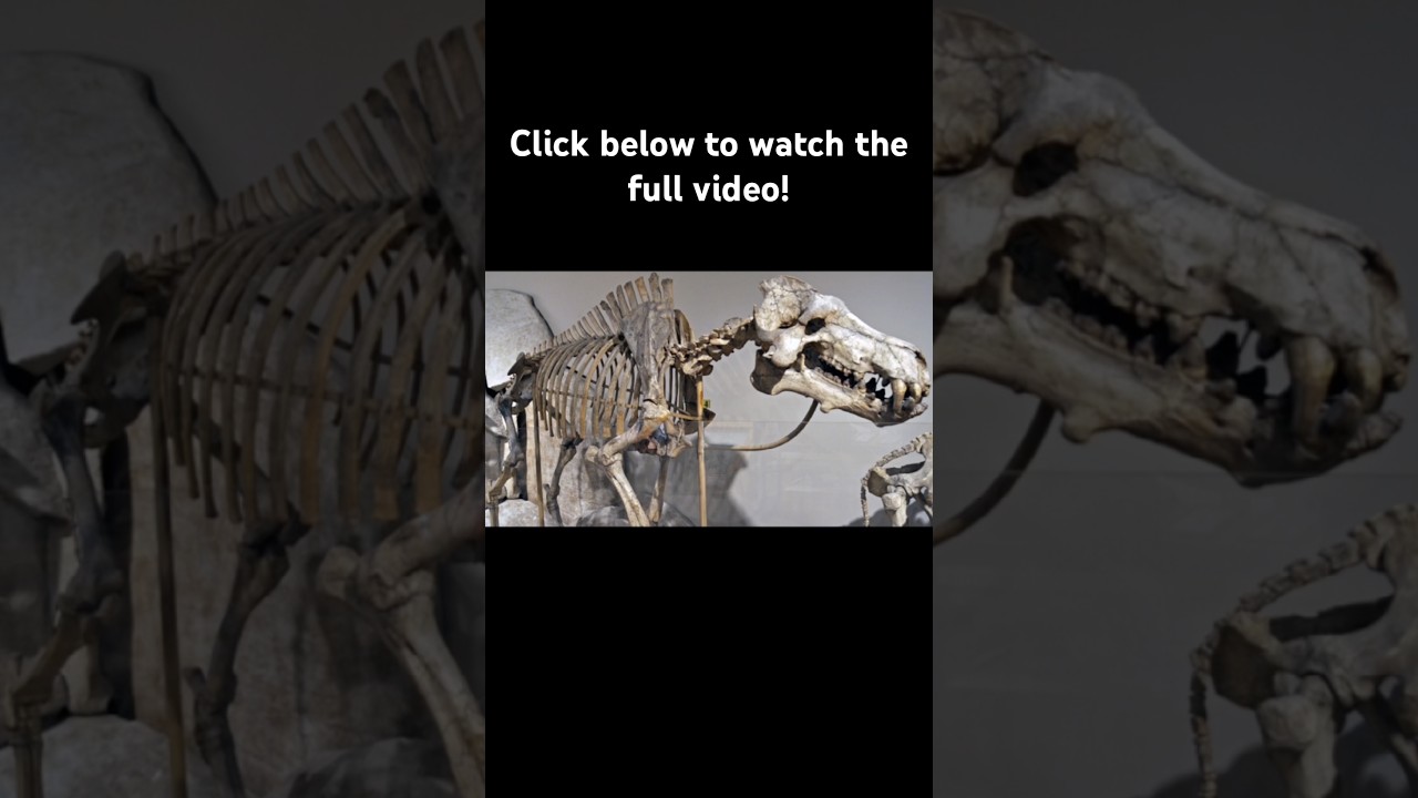 MEET The “Hell Pig”! #paleontology