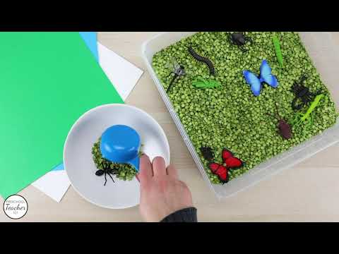 Insect Theme Preschool Lesson Plans
