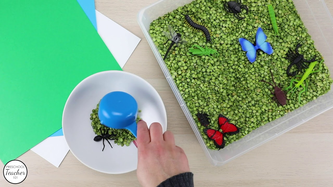 Insect Theme Preschool Lesson Plans