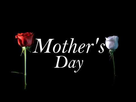 Mothers Day (Flower Test Footage)