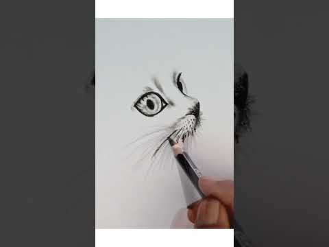 How to draw a cat face//#shorts//#sketch//