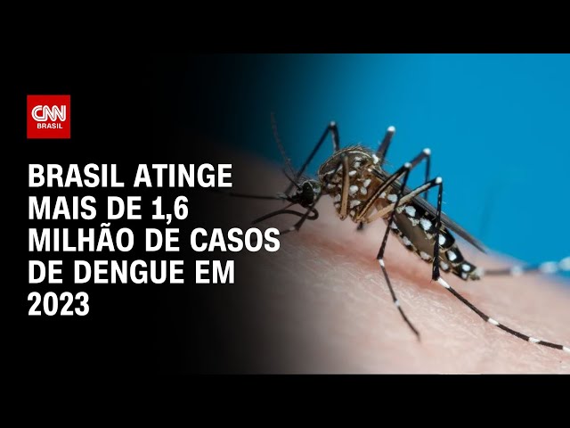 Brasil atinge mais de 1,6 milhão de casos de dengue em 2023; veja como prevenir | CNN Brasil