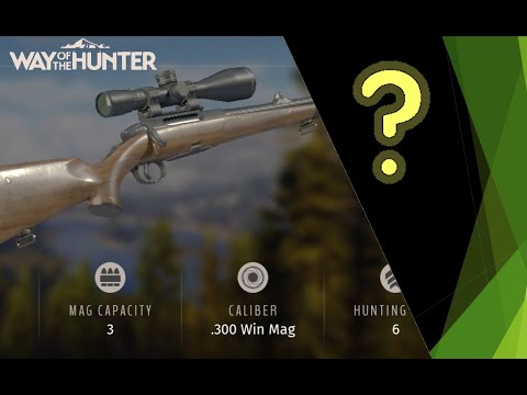ALL RIFLES COMPARED: USE This CHEAT SHEET! | Way of the Hunter