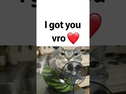 i got you vro❤️