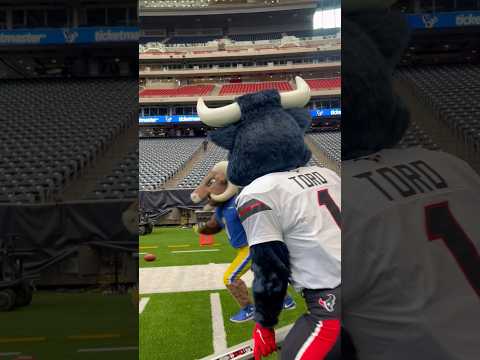 he ran the wrong route… #houston #texans #losangeles #rams #nfl #mascots #funny