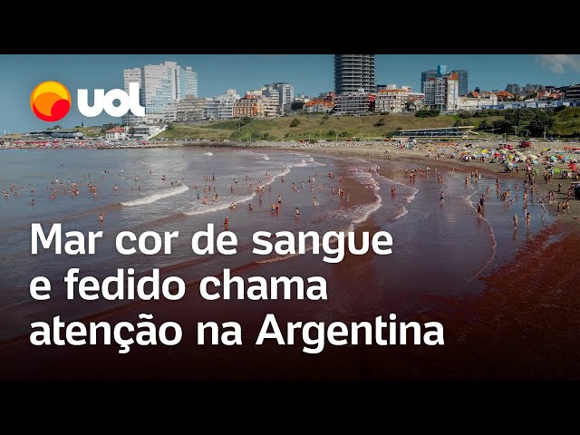 Mar com 'cor de sangue' assusta banhistas na Argentina; qual a causa?