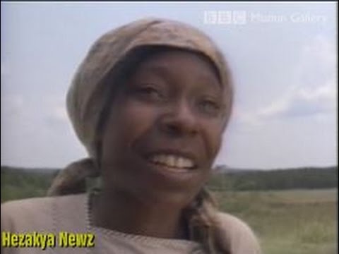 THE COLOR PURPLE CONTROVERSY: NEGATIVE STEREOTYPES OF BLACK MEN(1986)