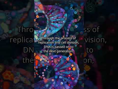 What is the role of DNA in inheritance?