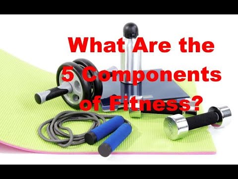 What Are the 5 Components of Fitness? | Complete Guide to Fitness Components