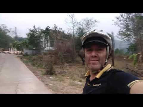 Luis in Pai Thailand Asia Wild Elephants ten feet away, Run for your life ! Chiang Mai Mae Hong Son