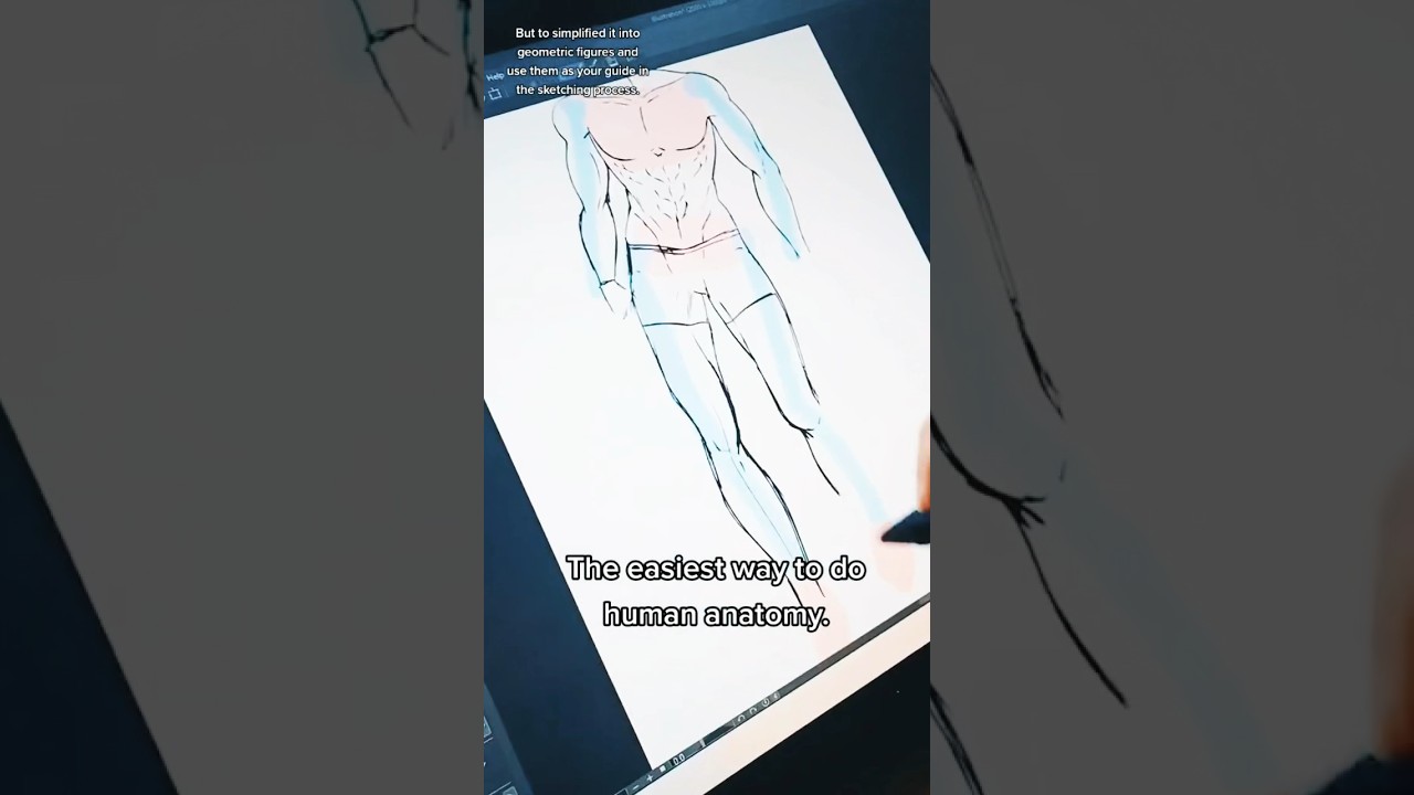 The easiest way to draw human anatomy #arttutorial #digitalart #shorts