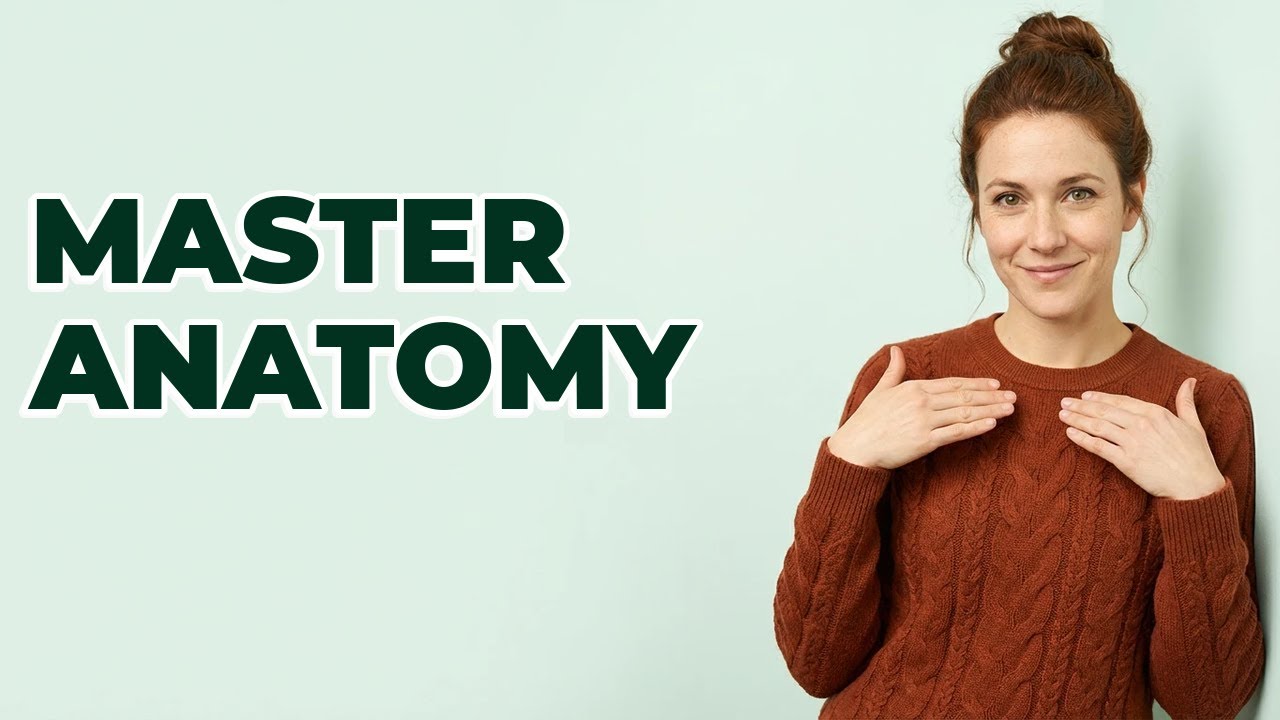 What Is Basic Anatomy Study For Digital Drawing?