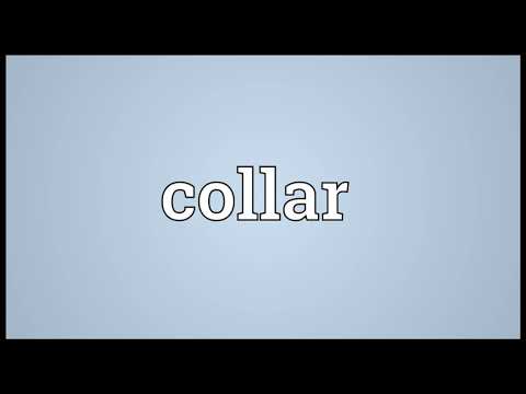 collar meaning in English