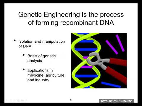 Recombinant DNA: #1 Genetic Engineering