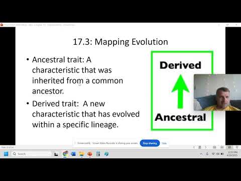Bio - Chapter 17: Taxonomy