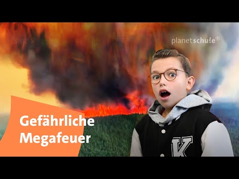 Wie entsteht ein Waldbrand? đłđ„ - ErklĂ€râs mir | planet schule