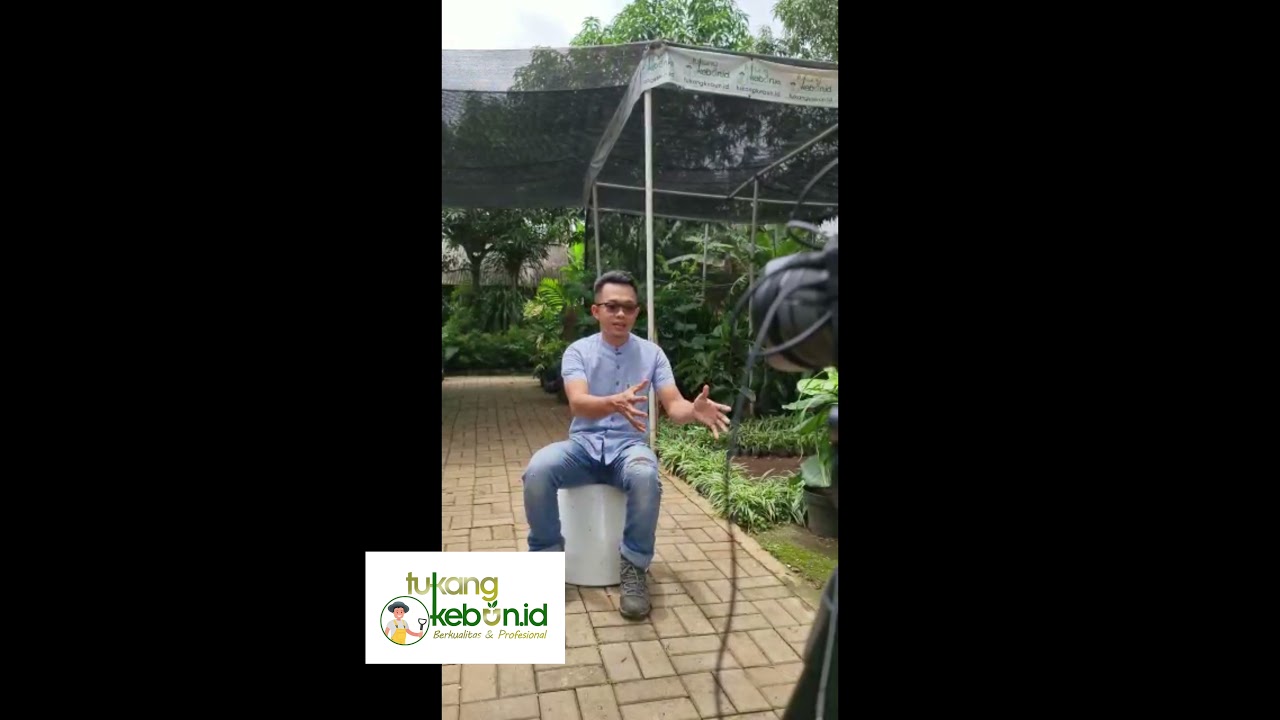 Bisnis Sewa Tanaman Hias Indoor Untuk di Kantor #sewatanaman #jabodetabek