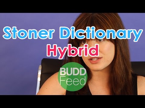 Stoner Dictionary : Hybrid