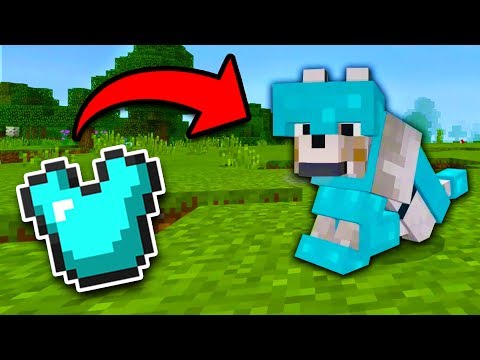 How to get WOLF ARMOR in Minecraft Tutorial! (Pocket Edition, Xbox, Addon)