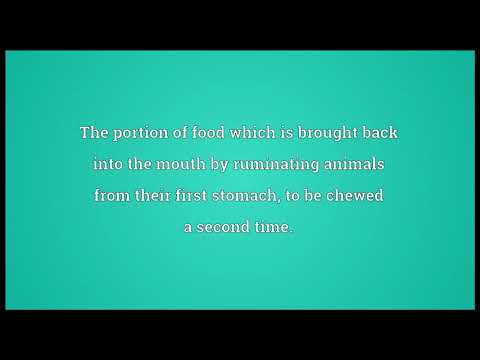 Cud Meaning