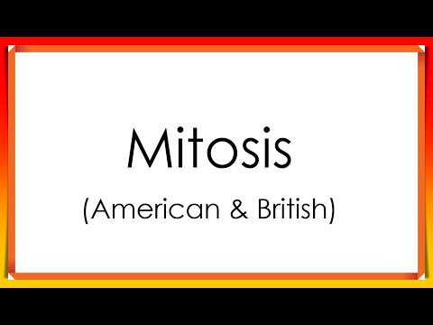 Mitosis | How to Pronounce | Pronunciation