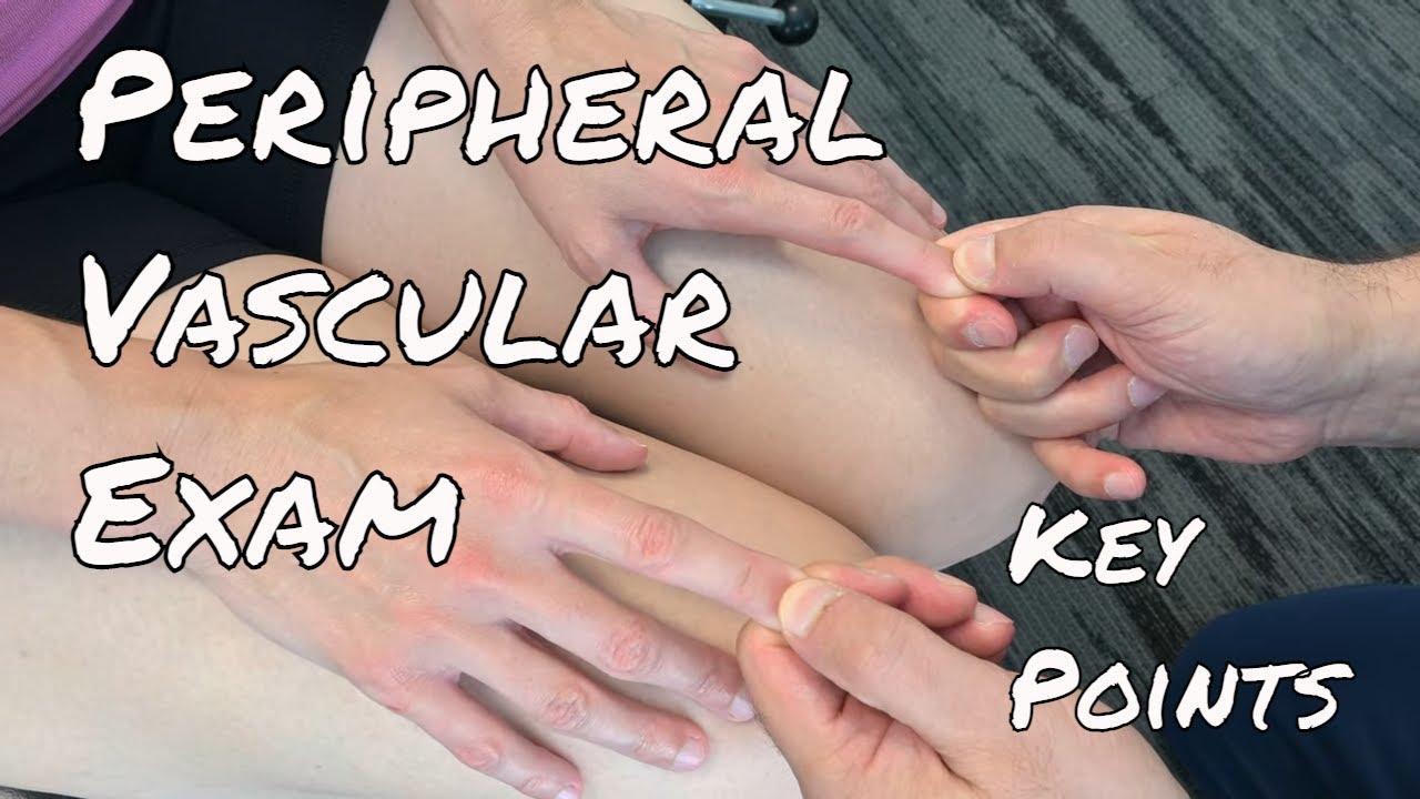Peripheral Vascular Examination - Key Points