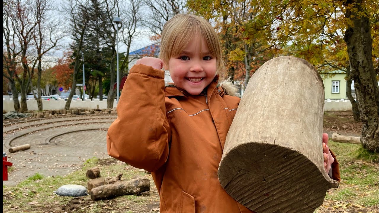 BBC News: Iceland gender paradox