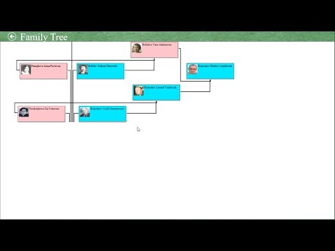 Genealogical family tree for Windows 10 (first evaluation video)