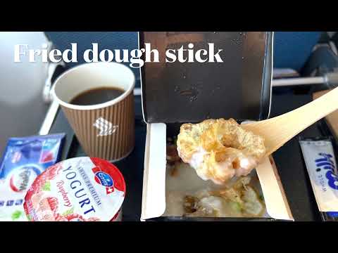 SQ Flight to Siem Reap Cambodia (Angkor Wat) Porridge Singapore Airlines Economy Class Boeing 737