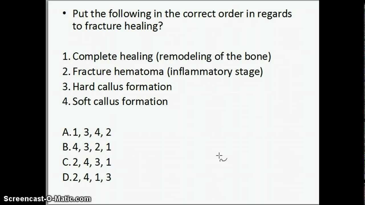 Musculoskeletal question 9: Fracture Healing