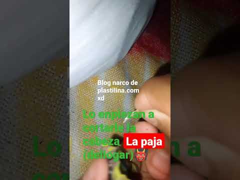 blog del narco de plastilina #shorts #humor #xd