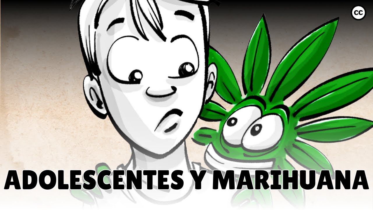 The effects of marijuana on adolescent brains