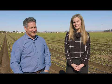 TF 2020 CROP CONNECTION MARCH - SALINAS PLANTINGS