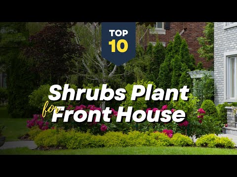 TOP 10 Shrubs Plant for Front of the House 🌿🏡 Enhance Your Curb Appeal