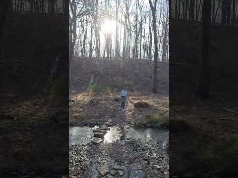 2025.3.21 Haymarket VA James S. Long Park Evening Hike