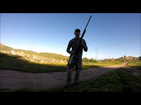 stoeger m3500 with kicks choke patten test
