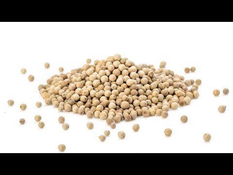 What is White Pepper? | Spice Factor #whitepepper