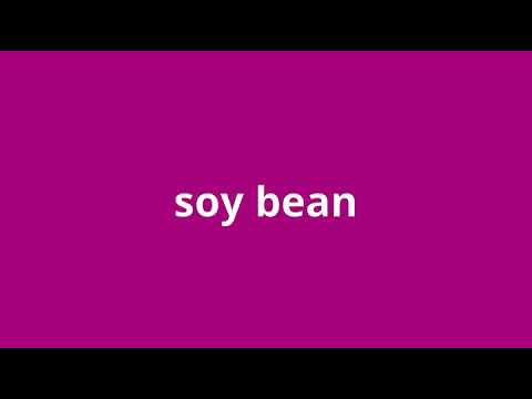 what is the meaning of soy bean.