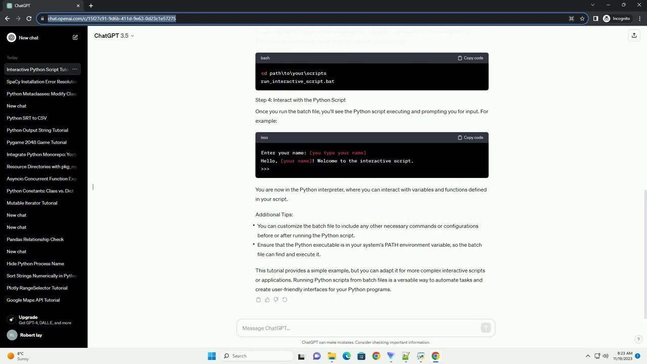 Running an interactive Python script from a Batch File