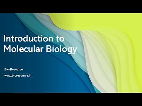 Introduction to Molecular Biology - The Complete Basics