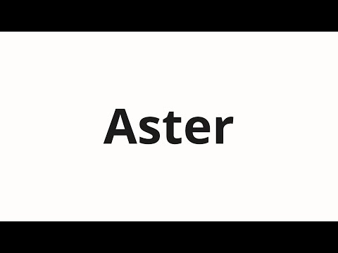 How to pronounce Aster