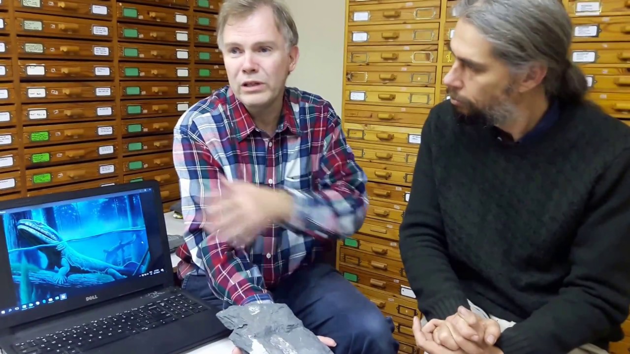 First Devonian Tetrapods in Africa