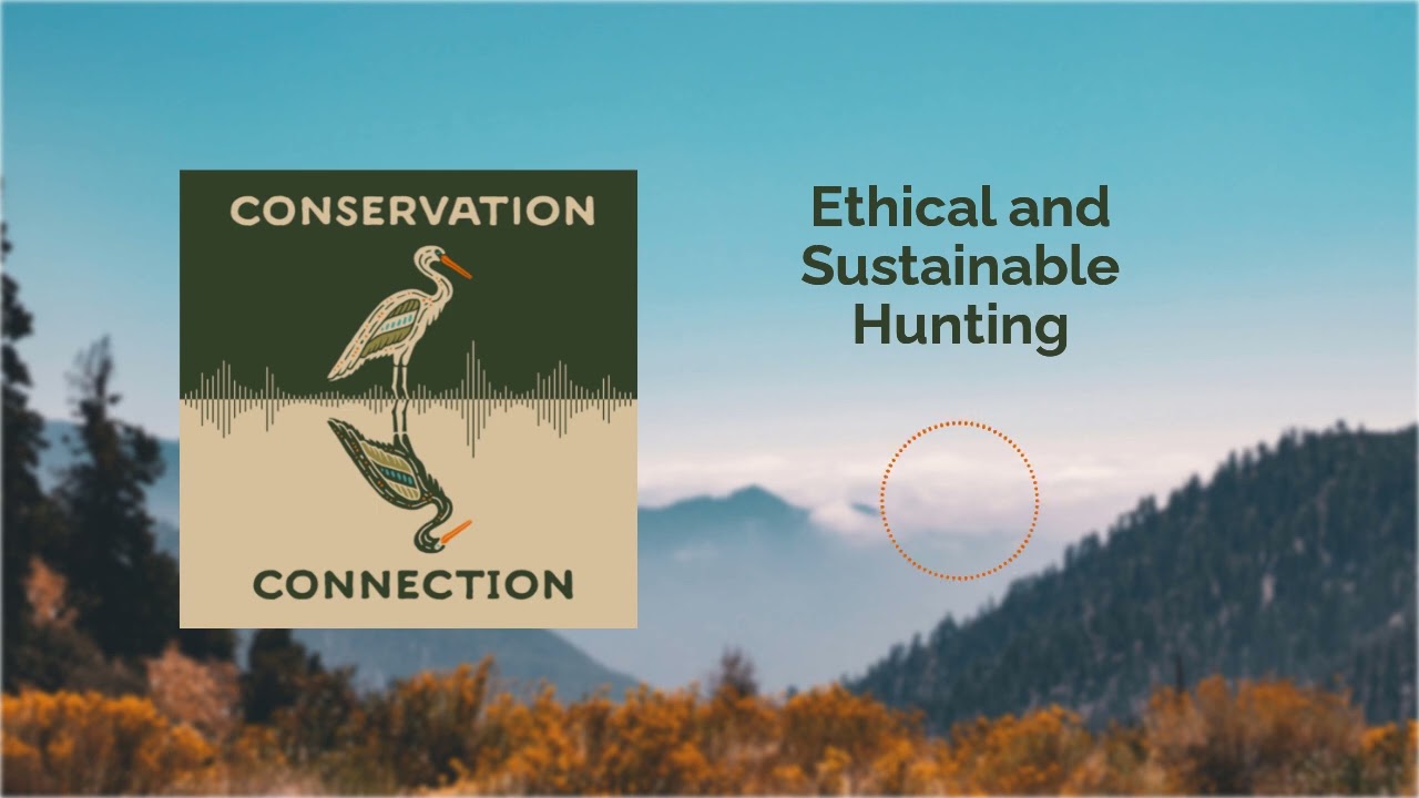 Ethical and Sustainable Hunting | Conservation Connection