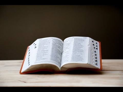 You'll need a thesaurus for this one!