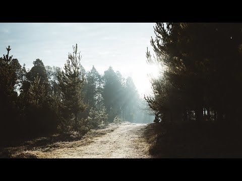 Quick Facts About Alternative Burial Options