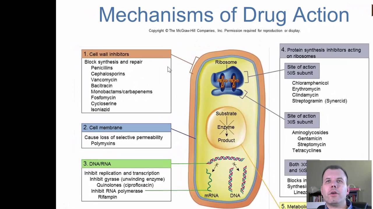 Chapter 12 - Antimicrobial Therapy