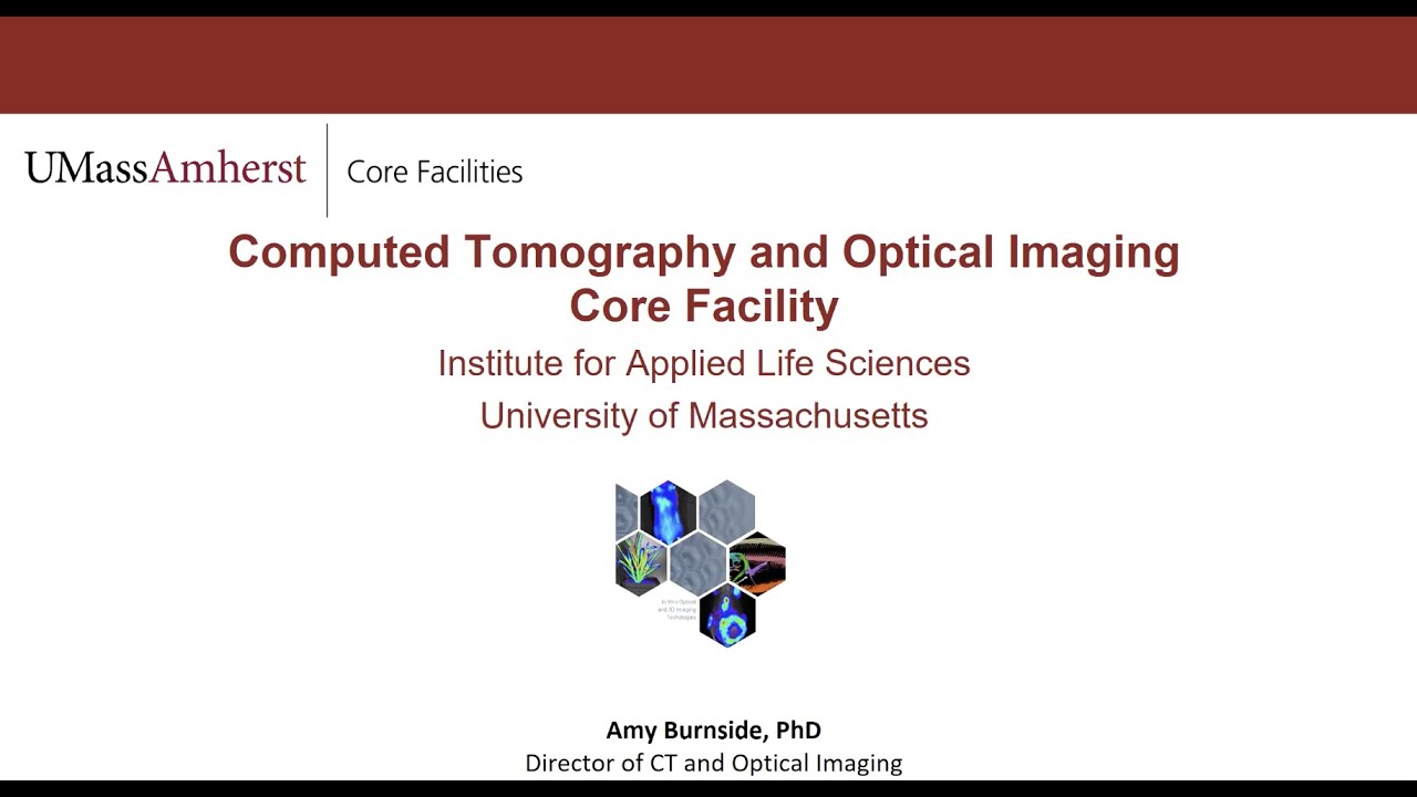 Core Facilities Seminar: CT and Optical Imaging